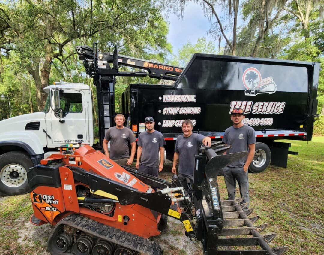 Tree Service Jacksonville FL | (904) 203-2211